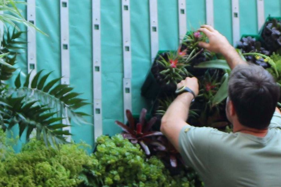 5 Greenwall Installation Problems the GrowUp System Can Solve